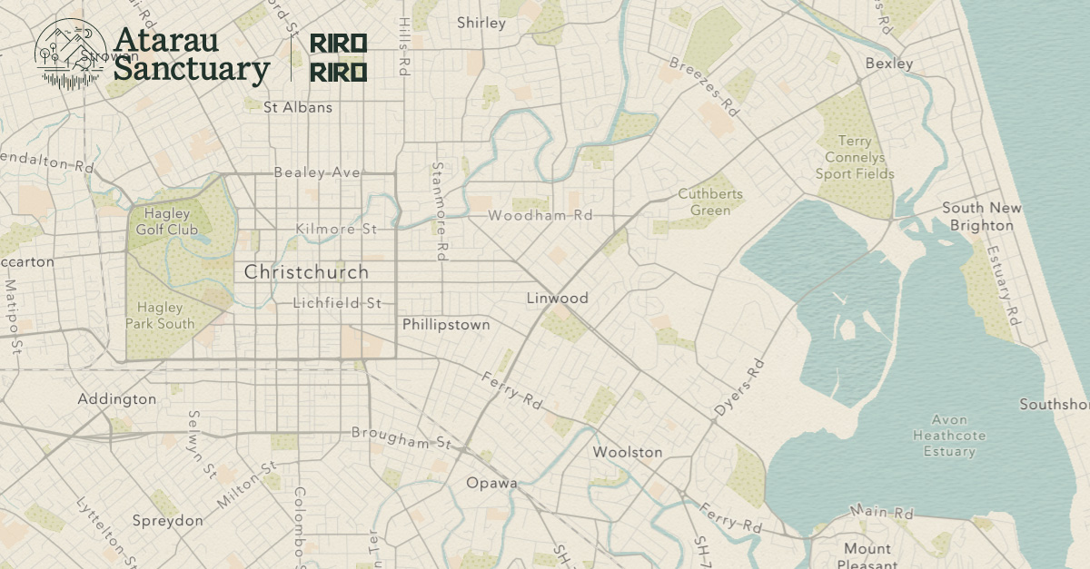 Atarau Sanctuary | Riroriro Visualisation